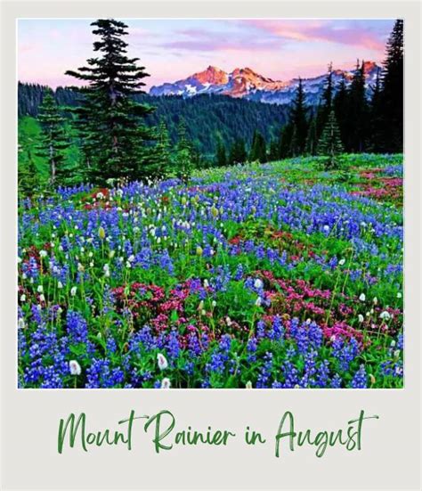 The Best National Parks To Visit In August Why Late Summer Is Still A