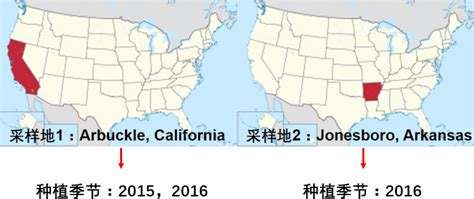 predict函数 r r包randomforest的随机森林回归模型以及对重要变量的选择 csdn博客