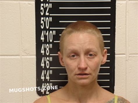 Teri Ann Townsend 10 09 2024 Stone County Mugshots Zone
