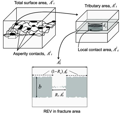 Geometrical Model That Includes Representative Element Within Rock Download Scientific Diagram