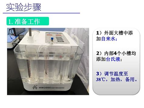 实验六 家兔离体小肠平滑肌生理特性及药物作用的观察 Word文档在线阅读与下载 无忧文档