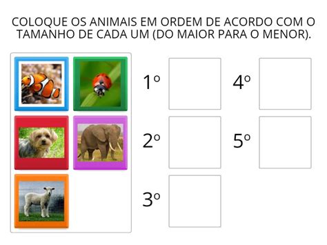 OrdenaÇÃo Por Tamanho Ordem De Classificação