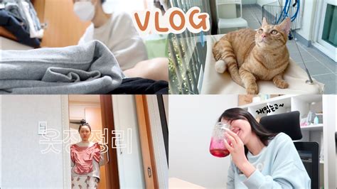 Vlog 청소🚿주간 옷장 정리 다 버릴 수 있을까 베란다 고양이방으로 꾸미기🐱 Youtube