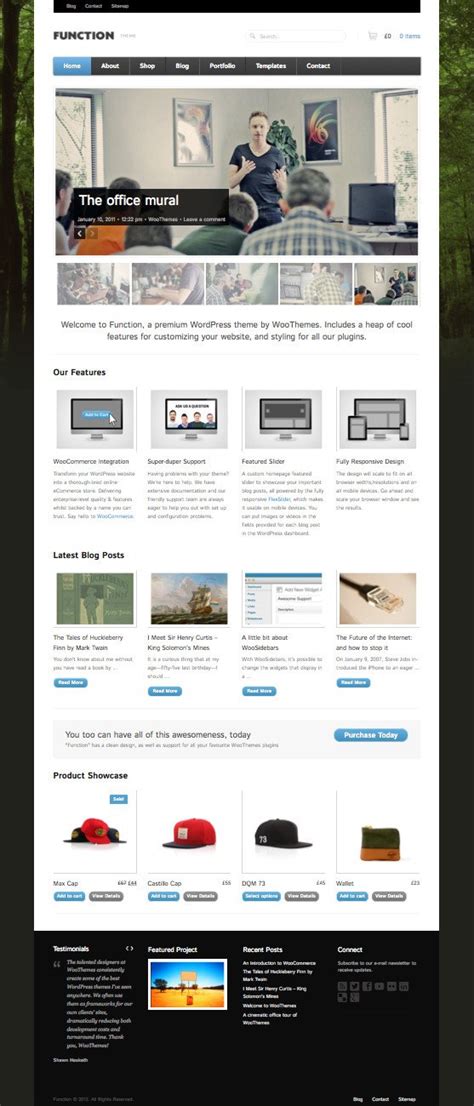Function Responsive Wordpress Theme For Business And Ecommerce