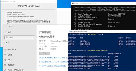 山市良のえぬなんとかわーるどアーカイブ Windows Server vNext LTSC Preview Build 20287 Windows Server 2022