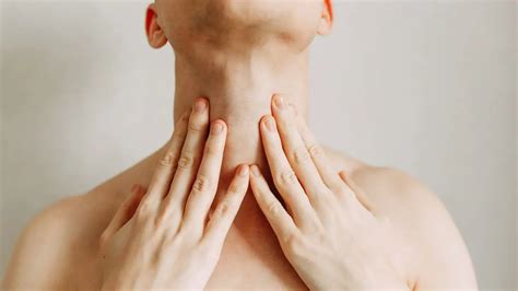 Paratiroides Las Glándulas Que Cuidan De Tus Huesos