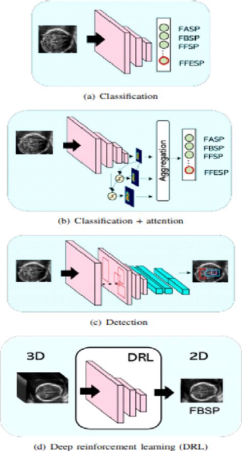 Figure 1 From Review On Foetal Position Detection Using Different Techniques Semantic Scholar