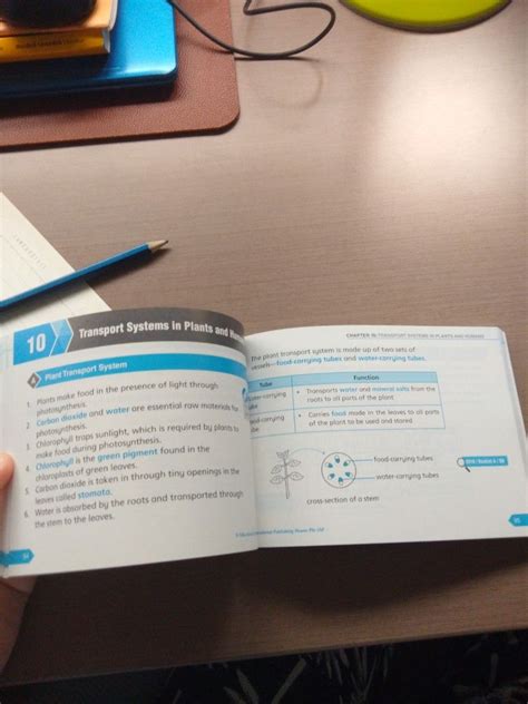 Psle Science Revision Booklet Hobbies And Toys Books And Magazines Textbooks On Carousell