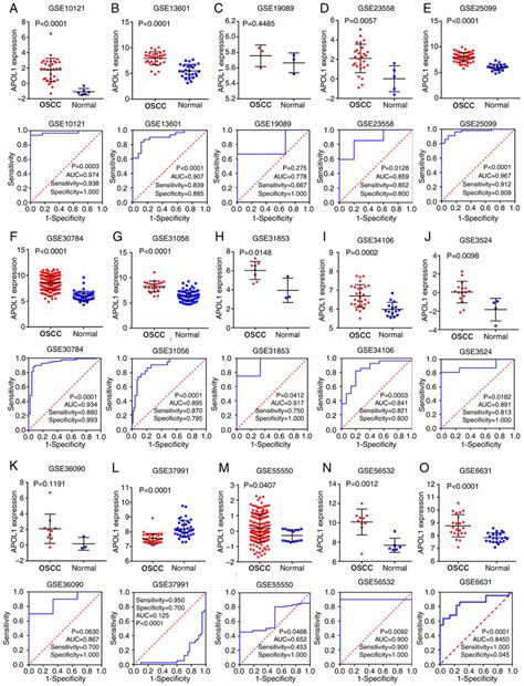 Mrna Apol1 Expression In Oscc Tissue And The Corresponding Roc Curves