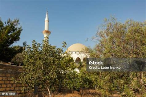 타워와 모스크의 돔 뒤에 나무 푸른 맑은 하늘 위의 리에 카 르 파소북부 키프로스에 있는 이슬람과 기독교에 대 한 알려진 평화에