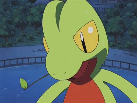 File Ash Treecko Giant Png Bulbapedia The Community Driven Pokémon Encyclopedia