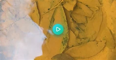 Water Reflect Looks Like Fire Album On Imgur