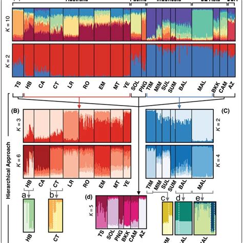 Structure Plots Of Nine Microsatellite Loci For 366 Samples Of Aedes Download Scientific