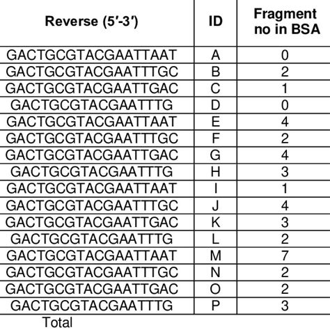 nucleotide sequence primer id number of fragments produced along bsa