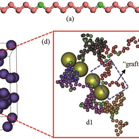 A Coarse Grained Model Of In Chain Functionalized Polymer Where The