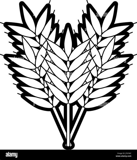 Wheat Vector Illustration Stock Vector Image And Art Alamy