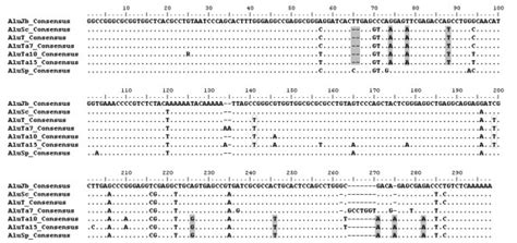 Multiple Sequence Alignment Of Three Canonical Reference Sequences