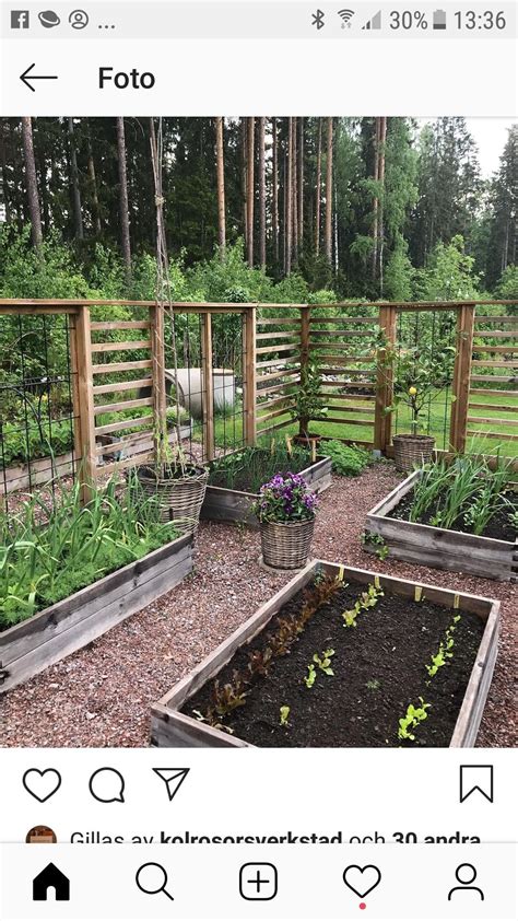 Deer Proof Garden Fence Ideas Artofit