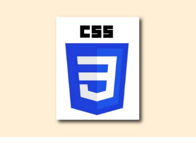 Sohojware Top CSS Frameworks For Faster Development Sohojware