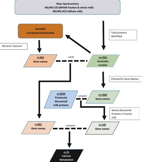 Flow Chart On The Data Generated And How The Data Were Processed The Download Scientific
