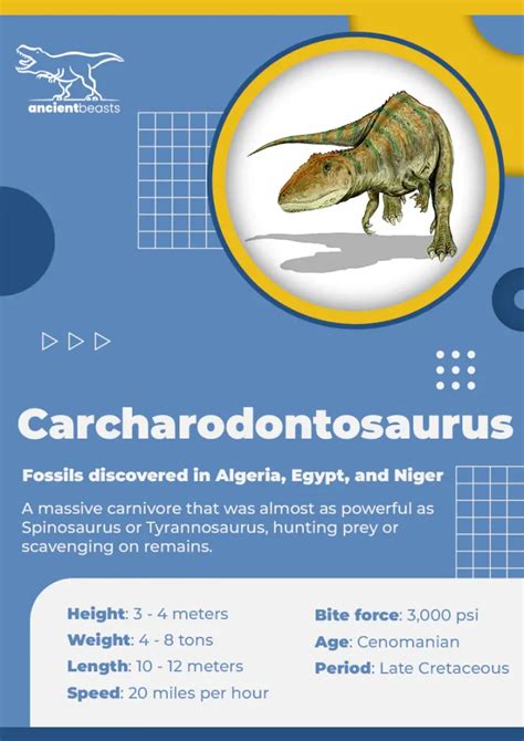 Everything You Need To Know About Carcharodontosaurus