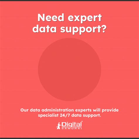 Need Specialist Data Support Digital Samurai Can Empower Your Company