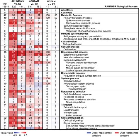 Functional Categorization Of Differentially Expressed Genes In Mcf 7