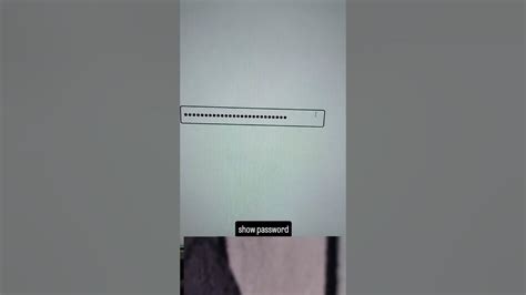 Password Protection How To Hide Passwords On A Webpage Coding Hacks Webdevelopment