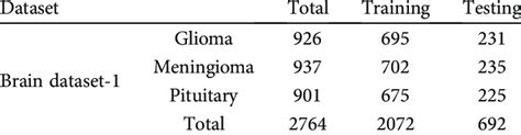 training and testing details of brain dataset 1 download scientific diagram