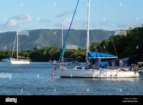 Boats Moored At Dickson Inlet In Port Douglas Queensland Australia