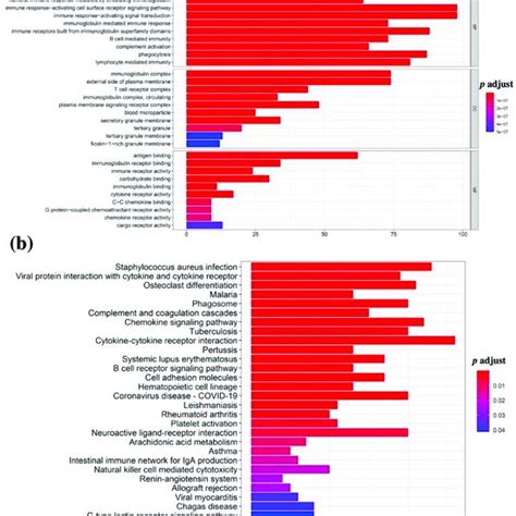 The Protein Protein Interaction Ppi Analysis Of Degs Based On The