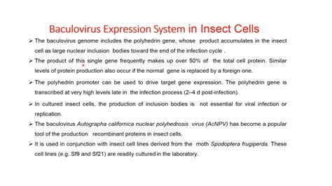 Baculovirus Expression Vector System Pptx Infectious Diseases