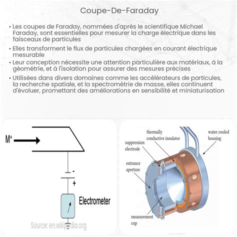Coupe De Faraday Electricity Magnetism