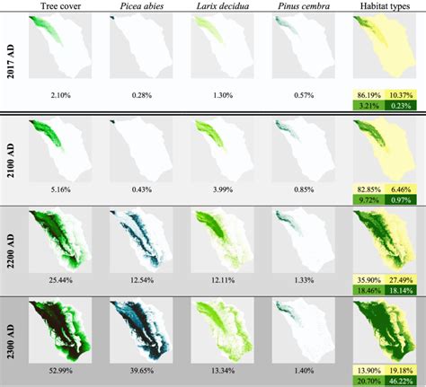 Simulated Tree Cover Cover Of Tree Species And Cover Of Habitat Types Download Scientific