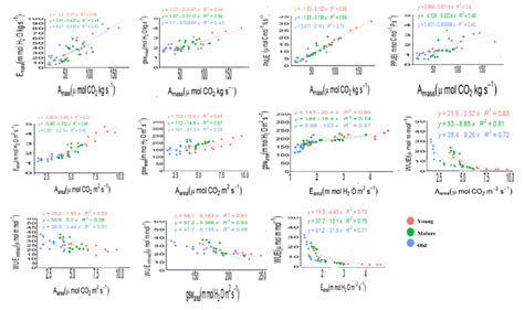Variation In Relationship Among The Leaf Physiological Traits In The Download Scientific