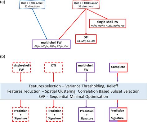 Methods Summary A Schematic Representation Of The Dwi Acquisitions