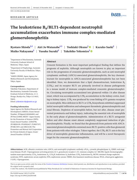 Pdf The Leukotriene B 4 Blt1 ‐dependent Neutrophil Accumulation Exacerbates Immune Complex