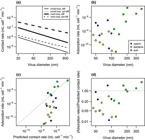Model Predictions And Observations Of Contact Rate And Adsorption Rate