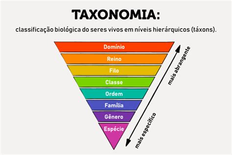 Classificacao Do Organismo