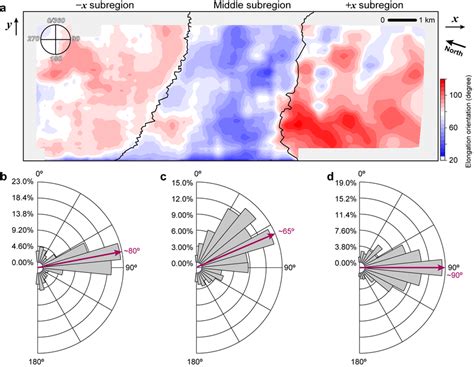 The Analysis Distribution Of Elongation Orientation Of The Polygons