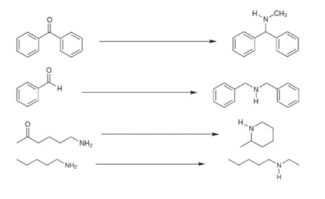 Solved Suggest A Synthesis For The Following Chegg Com