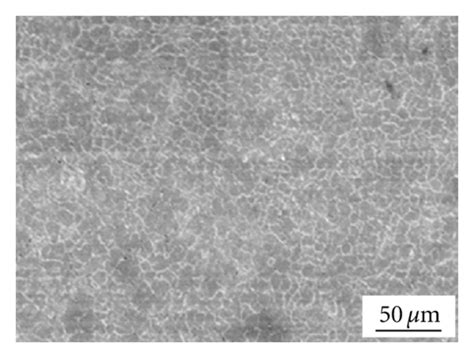 Sem Micrographs Of The Prior Austenite Grain Structures A Steel A Download Scientific