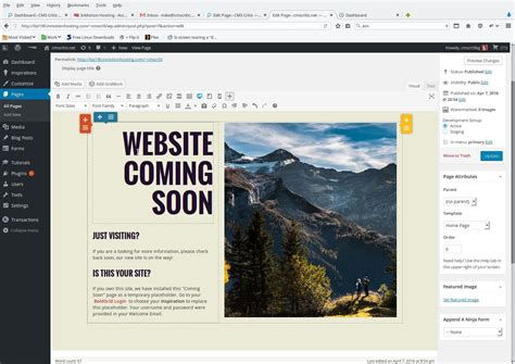Boldgrid Review Cms Critic