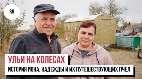 Ульи на колесах. Как Ион и Надежда ездят по Молдове вместе с пчелами и ...