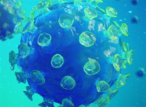 细胞毒试验 知乎