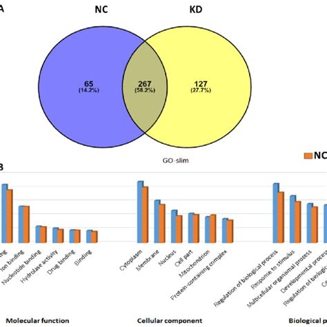 Kegg Pathway Hierarchical Clustering Trees Pathways Such As