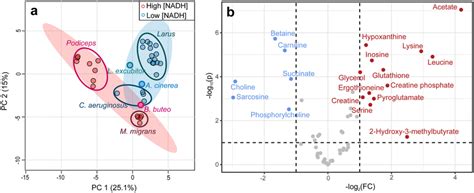 A Scores Plot Of Principal Component Analysis Pca Of Bird Lens