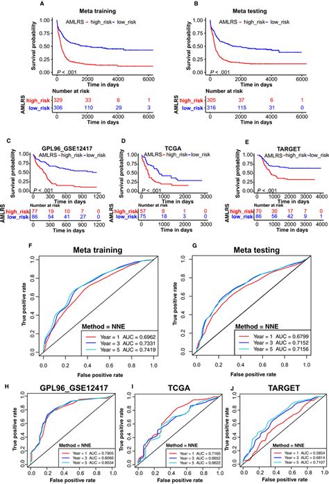 the kaplan‐meier survival analysis in five data sets a meta‐training