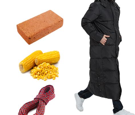 Interior Sex Kit R Burises