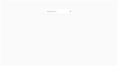 Custom Select Menu Dropdown Using Html Css And Vanilla Javascript